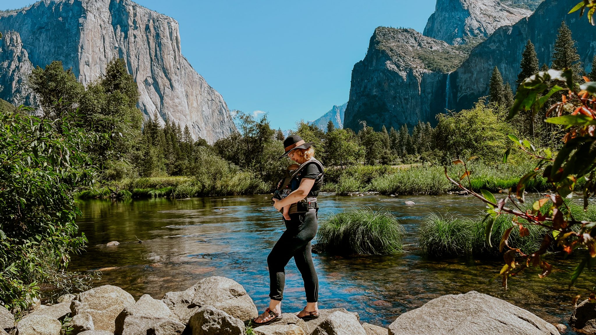 Yosemite Valley Floor Tour: Everything you need to know | THNE