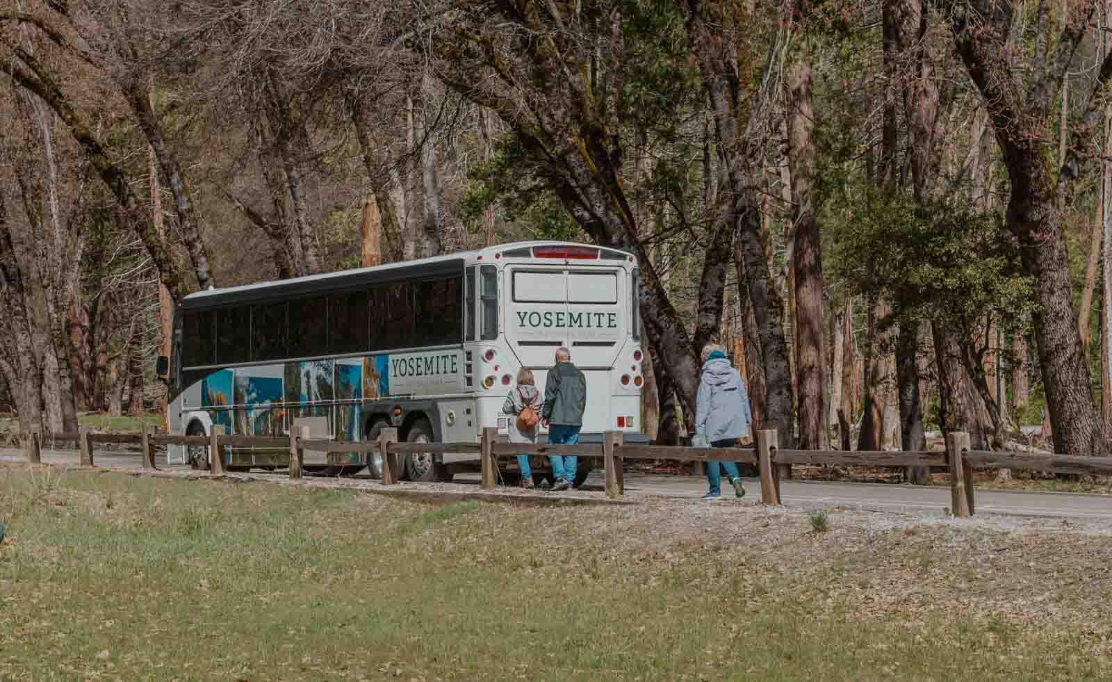 Yosemite Valley Floor Tour: Everything you need to know | THNE
